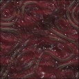 Alien Incarnation (Texture)