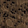 Bullet Holes in Wood (Texture)