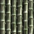 Bamboo (Texture)