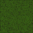 Pine Needles (Texture)