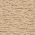Leatherized (Texture)